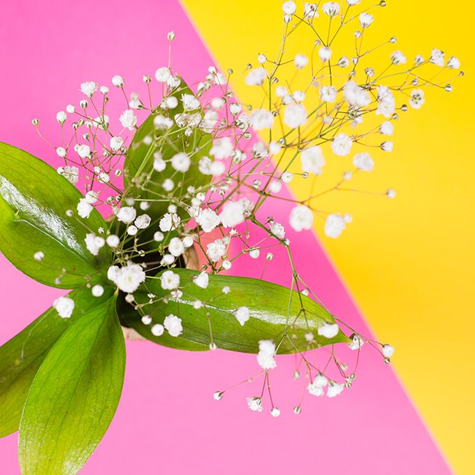 Dopamine Decor im Garten – Jetzt farbenfroh gestalten!